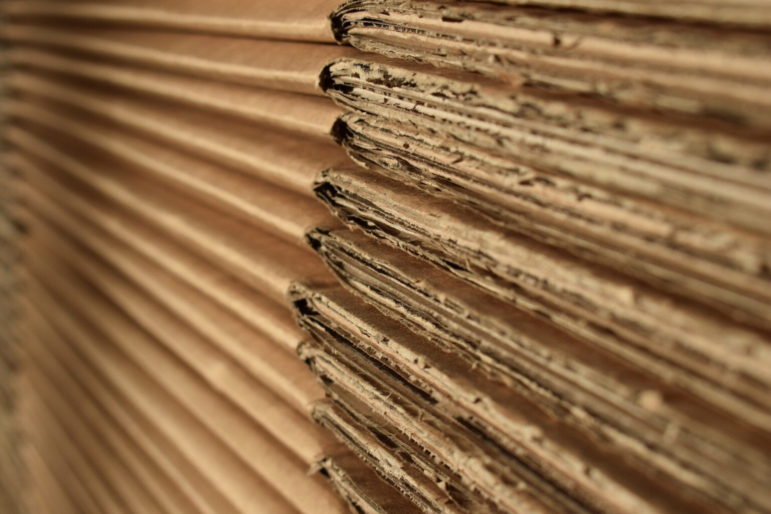 Rachat de carton - Carton Vert