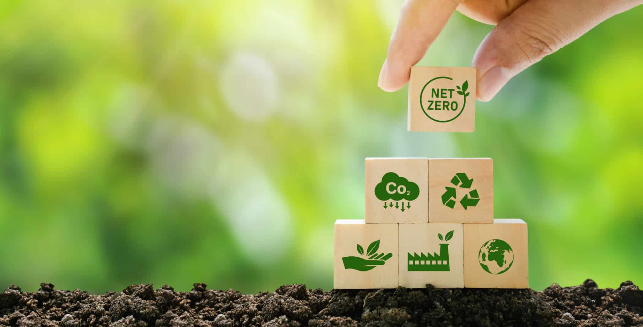 Réemploi de carton : une solution écologique - Carton Vert
